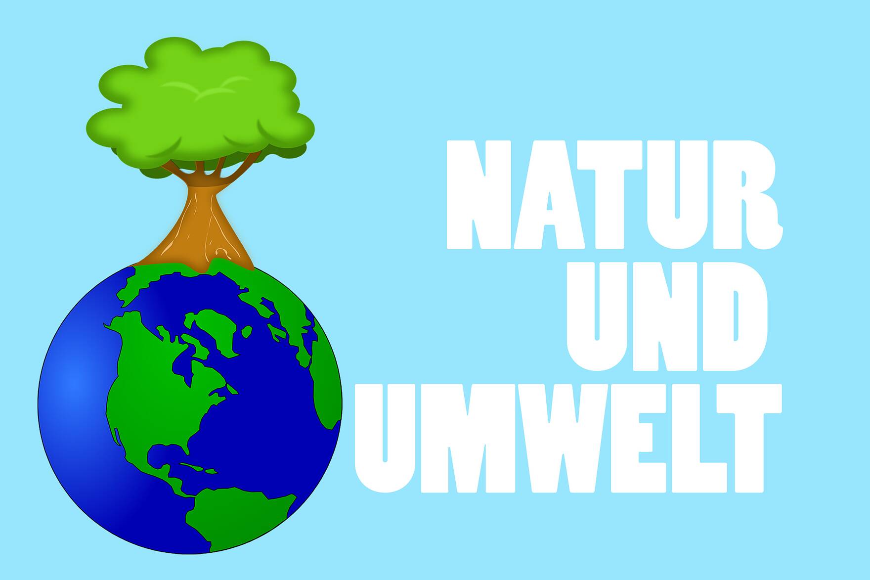 Wettbewerbe der PASCH-Initiative