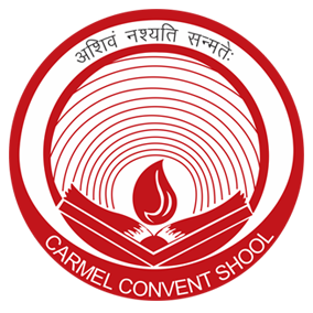 Carmel Convent Schule New Delhi - PASCH-Initiative