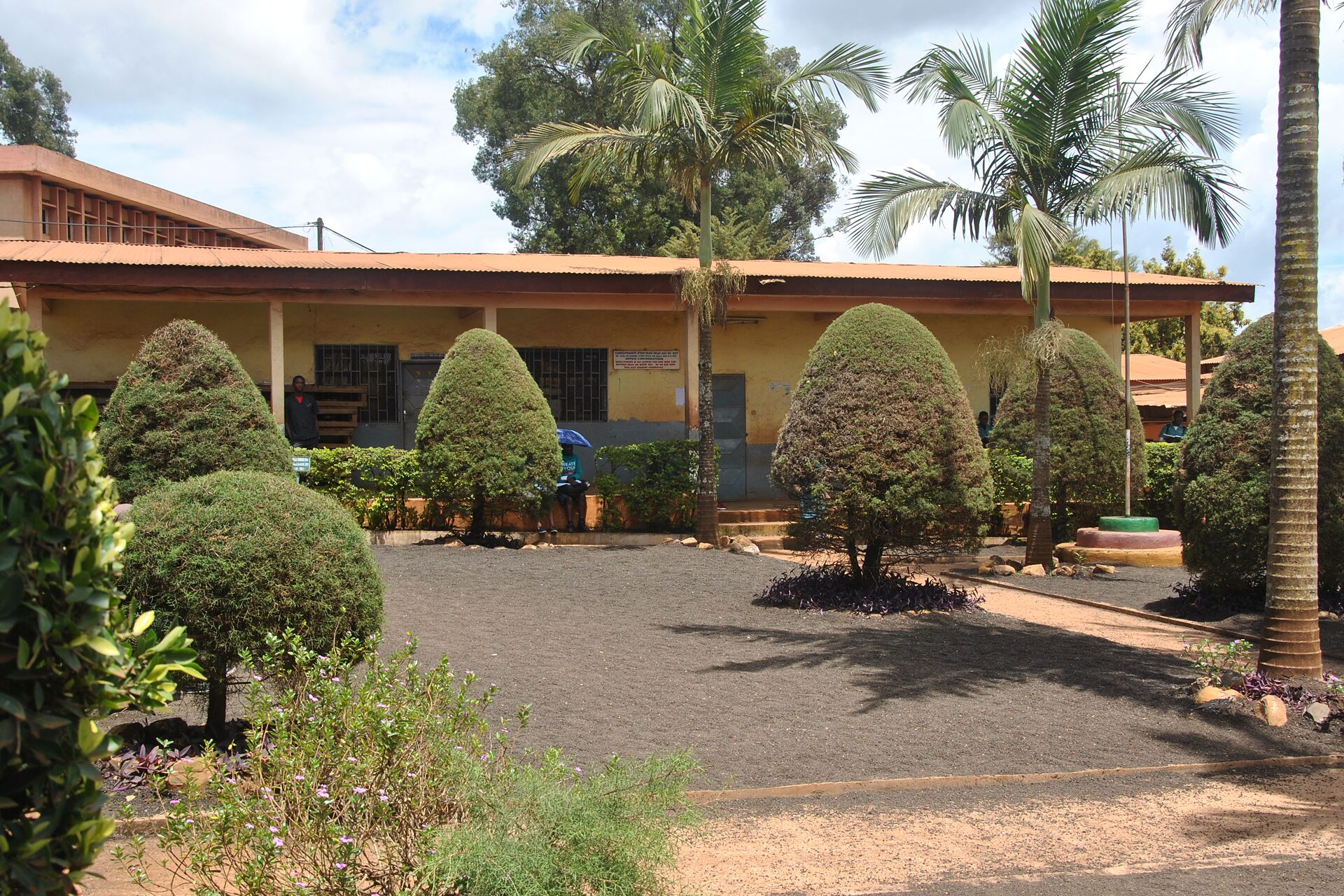 Lycée Bilingue de Bafoussam - PASCH-Initiative