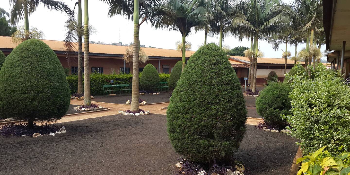 Lycée Bilingue de Bafoussam - PASCH-Initiative